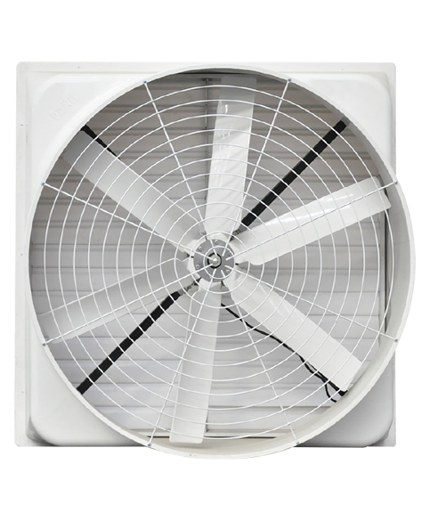 BIGCUBIC